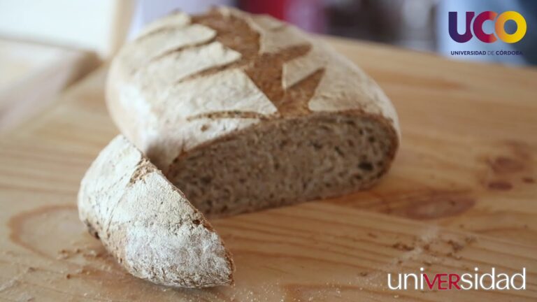 El papel del pan en la sociedad medieval | Actualizado diciembre 2025